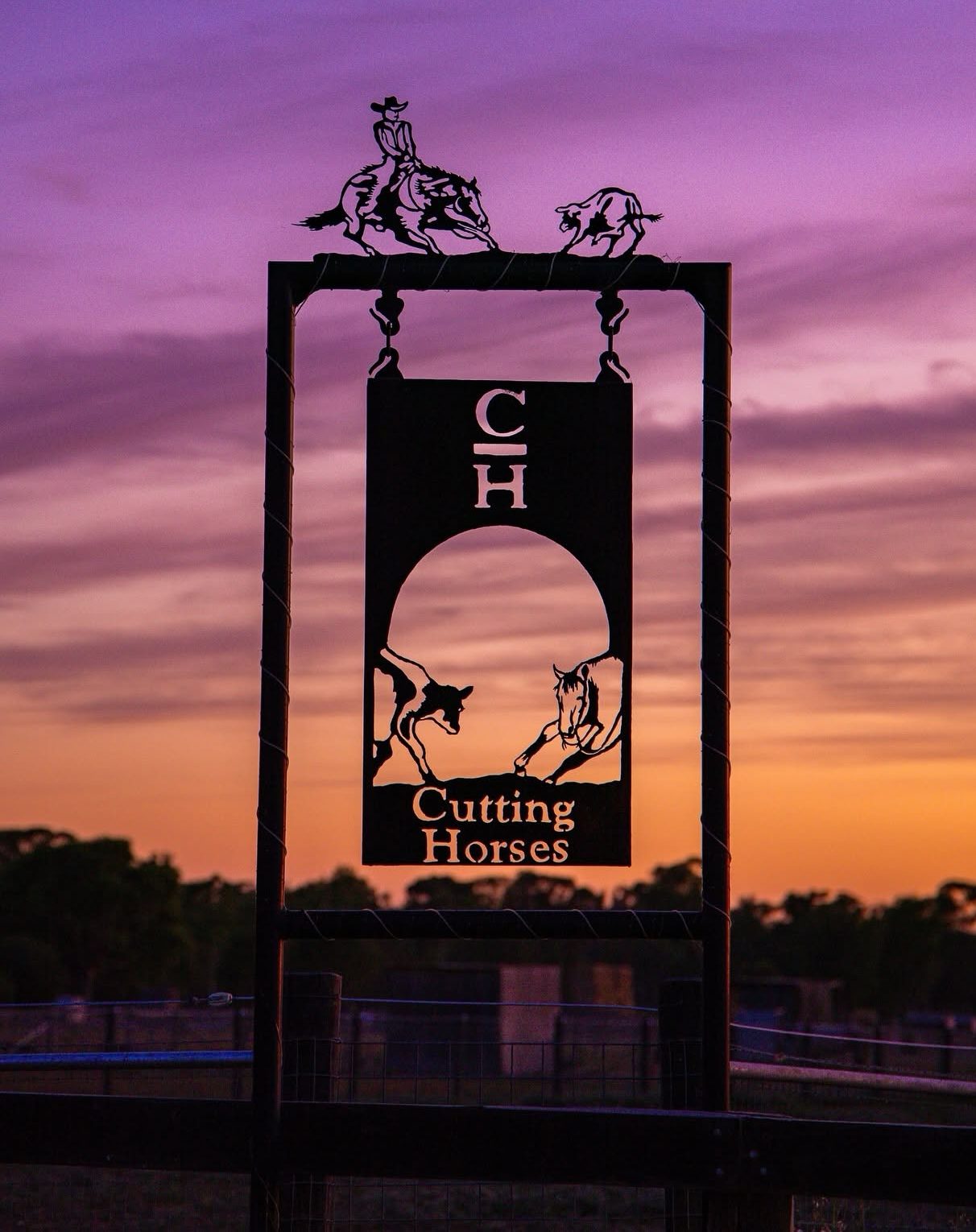 C Bar H Cutting Horses- Victoria - Johnsons Natural Formula